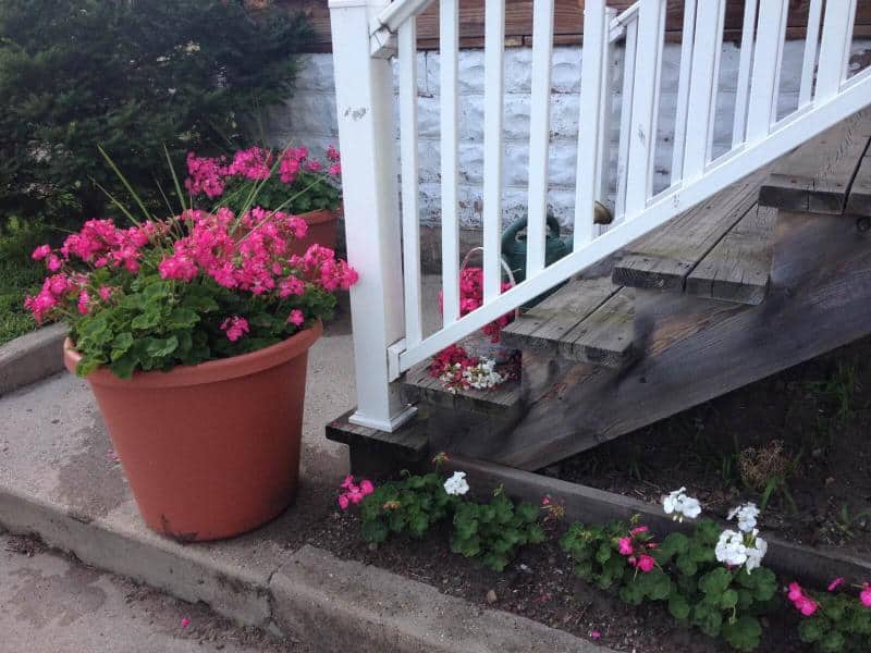 Three Messages - Katrina Hoover Lee